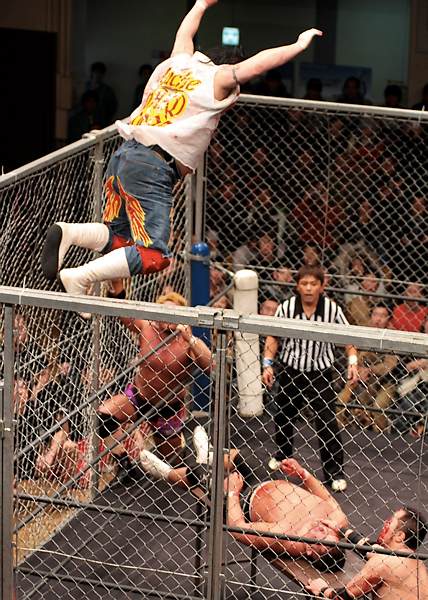 Developers vs Architects: Cage Match